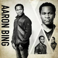 Biografia de Aaron Bing & Jason Andino