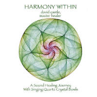 Biografia de David Castle