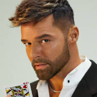 Biografia de Ricky Martin & Meja